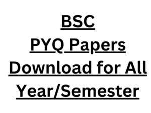 BSC PYQ Papers Download for All Year/Semester